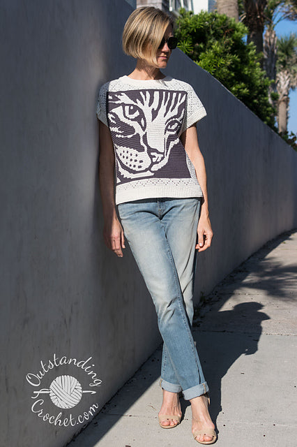 Mosaic Catitude or Tiger Top Class; begins 3/6 (4 sessions) – Strikke ...